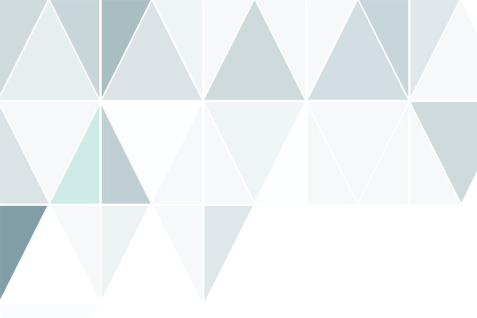 Agora + P3 Case Study: Building ISAIAH’s Multiracial House - SNF Agora ...